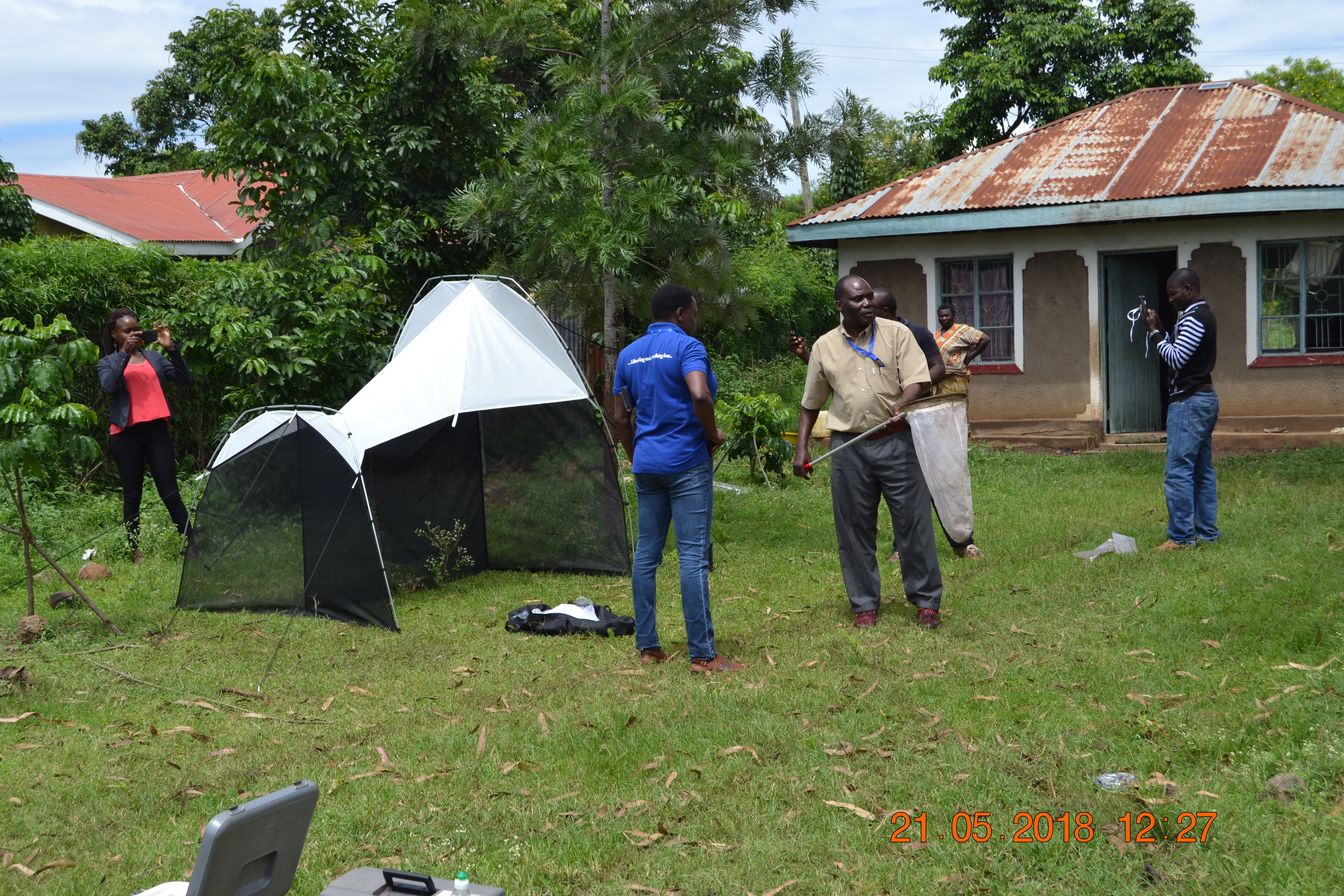 Insect sampling and curation | Nsa Dada, PhD